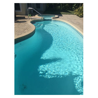 Total Customization - Tropical - Pool - Tampa - by Fibre Tech, Inc. | Houzz