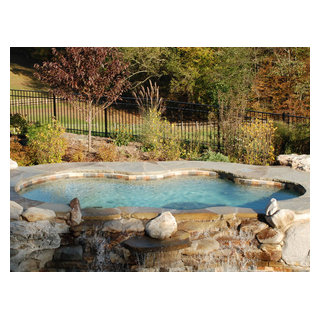 Trilogy Freeform Pools - Contemporary - Pool - Chicago - by DesRochers ...