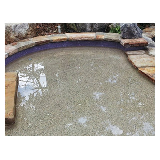 Tropical Free Form Pool - Exotique - Piscine - Atlanta - par ...