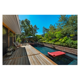 Tropical Pool - Tropical - Swimming Pool & Hot Tub - Miami - by Alan D ...