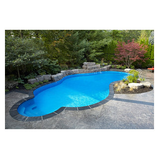 Two Tone Trinity Inground Pool - Contemporary - Pool - Toronto - by ...