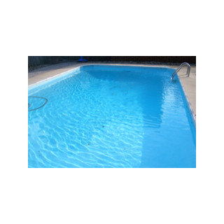 Ultraguard Super Epoxy Pools - Traditional - Pool - Tampa - by ...