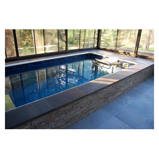 West Chester Endless Pool - Contemporary - Pool - Philadelphia - by ...