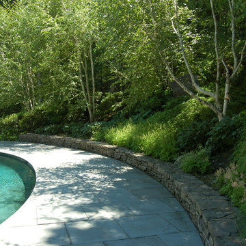 Hillside Pool - Photos & Ideas | Houzz