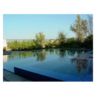 Westridge - Modern - Pool - Los Angeles - by Nautical Pools & Spas | Houzz
