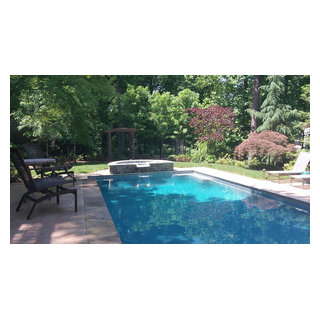 Wet Edge Primera Stone Tahoe Coast - Traditional - Pool - Atlanta - by ...
