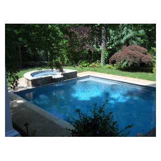 Wet Edge Primera Stone Tahoe Coast - Traditional - Pool - Atlanta - by ...