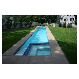White Plaster with blue quartz - Traditional - Pool - Raleigh - by Vue ...