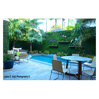 Zesty Zen - Tropical - Pool - Miami - by Bell Landscape Architecture ...