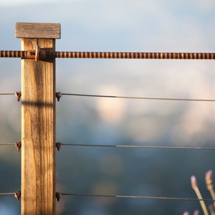 Rebar Railing - Photos & Ideas | Houzz