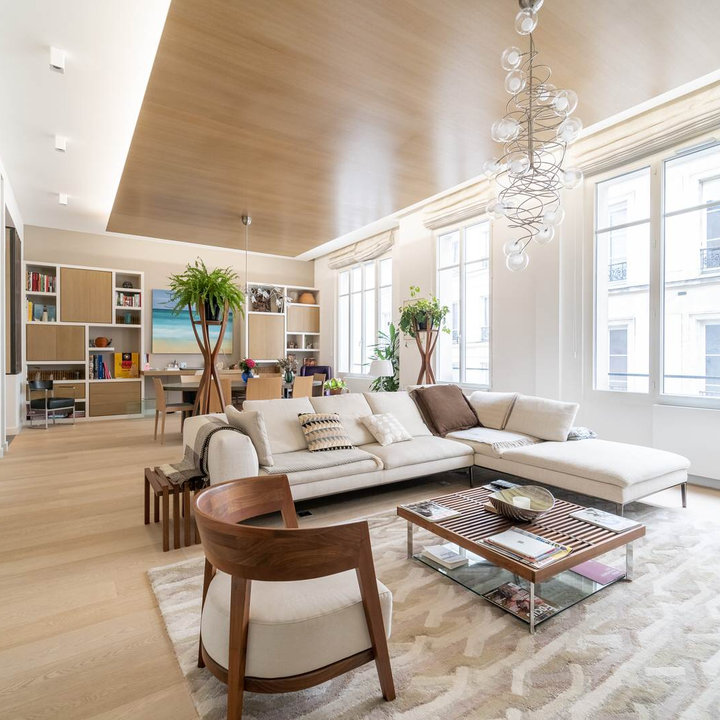 75 photos et idées déco de salles de séjour - Septembre 2025 | Houzz FR