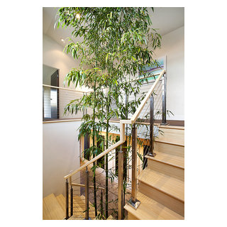 Laguna II - Modern - Staircase - San Francisco - by SDG Architecture ...