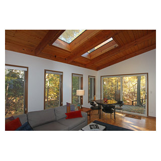 Mid Century Modern Green Restoration - Midcentury - Sunroom - Chicago ...