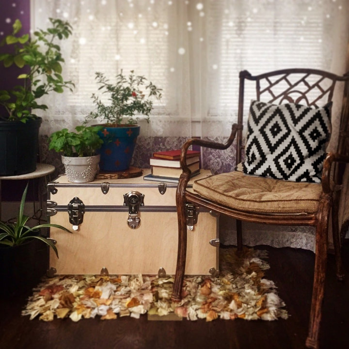 Rhino Trunk - Photos & Ideas | Houzz