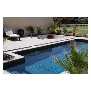VIP Pool Project - Contemporary - Pool - Other - by nse design | Houzz