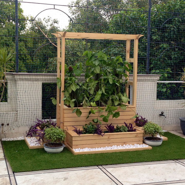 Sitout - Photos & Ideas | Houzz