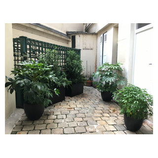 Courette parisienne - Farmhouse - Patio - Paris - by Kevin Clare ...