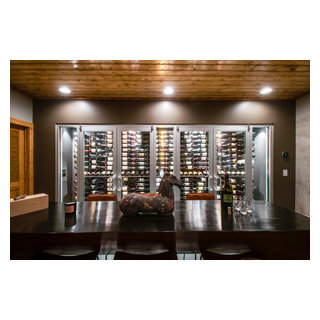 Basement contemporary wine cellar & tasting room - Contemporary - Wine ...