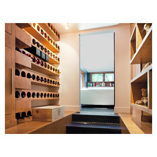 Cedar Street Remodel - Contemporary - Wine Cellar - Omaha - by Steven ...