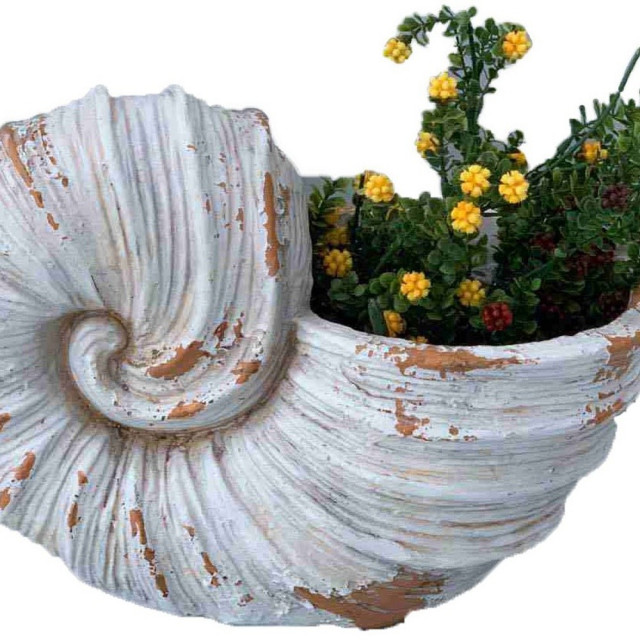 9" Distressed Cream and Terra Cotta Conch Shell Planter - Beach Style ...