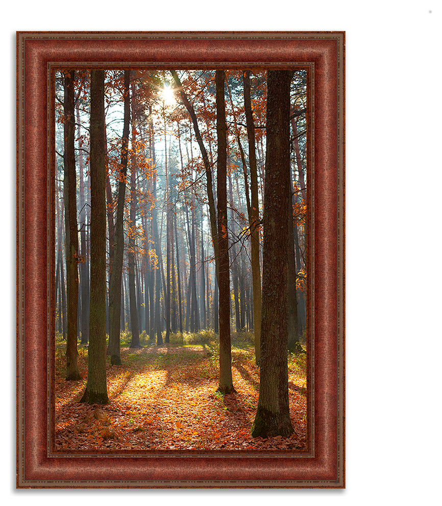 "Autumn Forest", Framed Photograph Print, Ready To Hang - Traditional ...