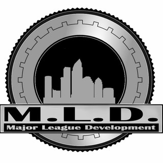 MAJOR LEAGUE DEVELOPMENT LLC - Project Photos & Reviews - ST PETERSBURG ...