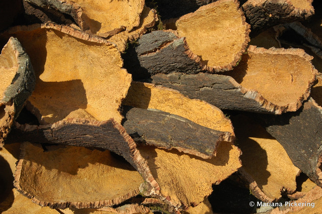 Insulation Basics: Natural and Recycled Materials