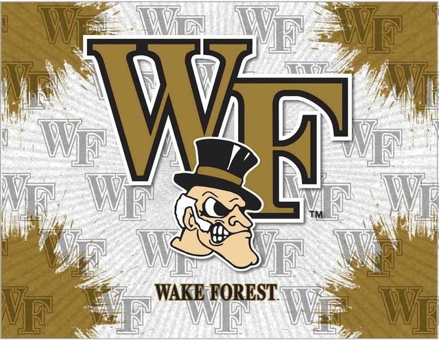 Wake Forest Logo Canvas, 20"x15" - Contemporary - Prints And Posters ...