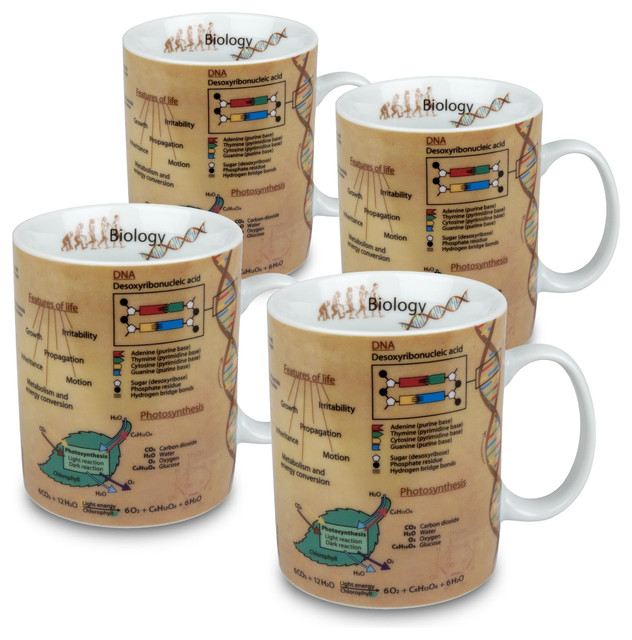 Set of 4 Mugs of Knowledge Biology - Contemporary - Mugs - by ...