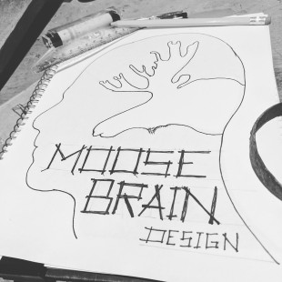 MOOSE BRAIN DESIGN - Project Photos & Reviews - Rochester, MN US | Houzz