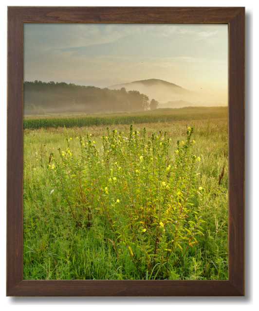 Bold Legacy .75" Frame, 5"x10" - Transitional - Picture Frames - by ...