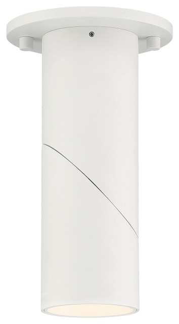 Transformer Dual Voltage Adjustable LED Spotlight - Modern - Flush ...