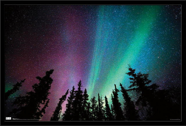 Aurora Borealis - Sky, 24.25"x35.75" - Contemporary - Prints And ...