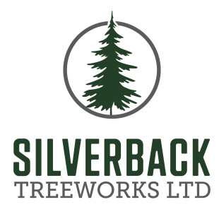 SILVERBACK TREEWORKS LTD. - Project Photos & Reviews - Garibaldi Highglands, BC CA | Houzz