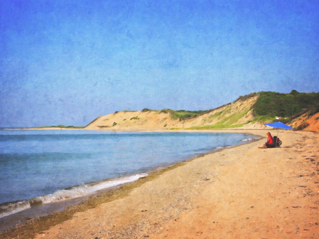 Cape Solitude, 30" H X 40" W, 30" H x 40" W x 1.5" D - Beach Style ...