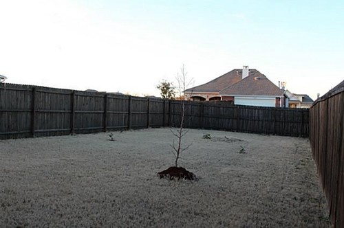 Help designing empty backyard