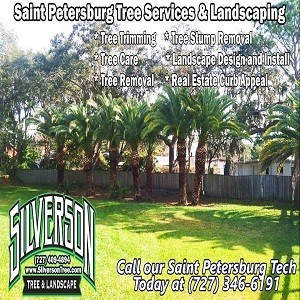 SILVERSON TREE SERVICES & LANDSCAPING - SAINT PETE - Project Photos ...
