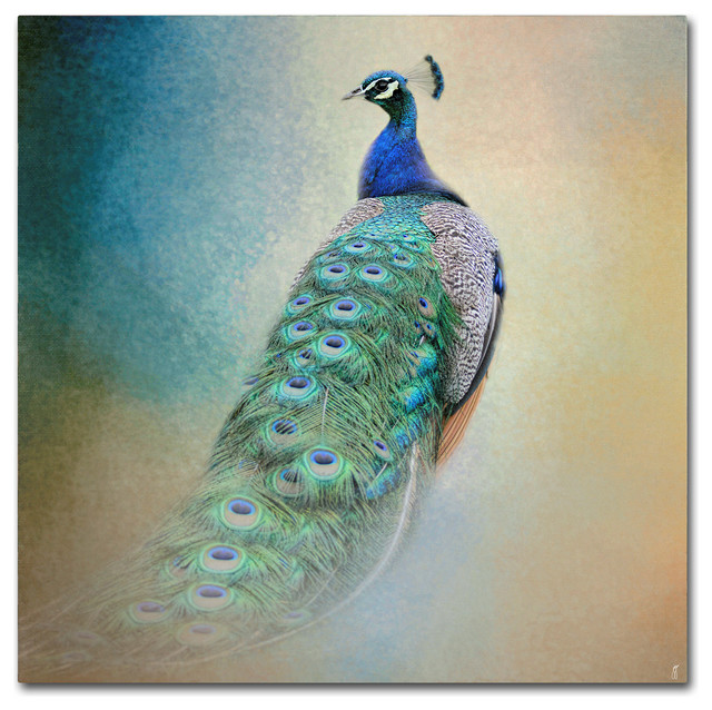 Jai Johnson 'Peacock 4' Canvas Art, 18"x18" - Contemporary - Prints And ...