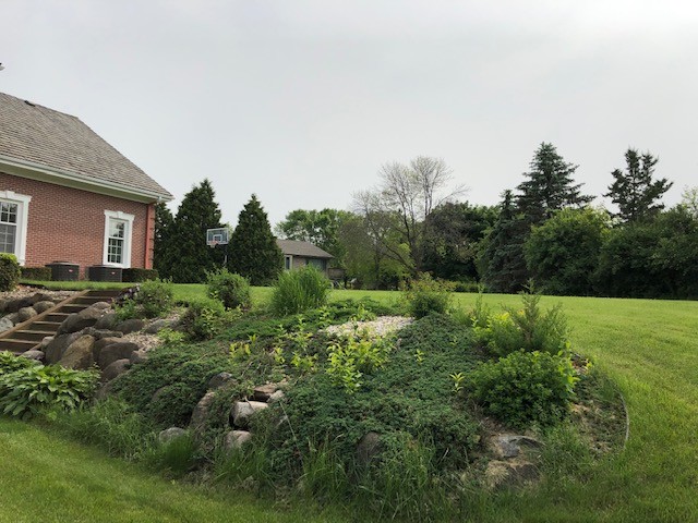ideas for redo landscape
