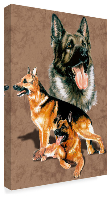 "German Shepherd Brown" by Barbara Keith, Canvas Art, 30"x47 ...