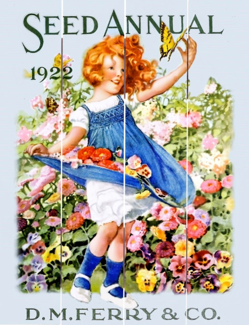 D.M. Ferry & Co. 1922 Pallet Art - Contemporary - Prints And Posters ...