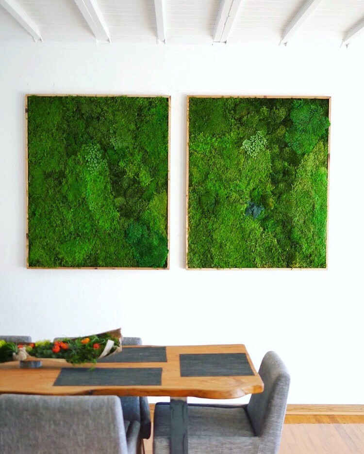 Green Wall, Moss art, Collage, Vertical Garden - Contemporary - Living ...