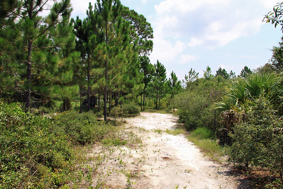 Amending straight Florida sand into a usable gardening soil