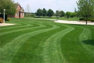 SOUTHERN TURF MANAGEMENT - Project Photos & Reviews - Saraland, AL US ...