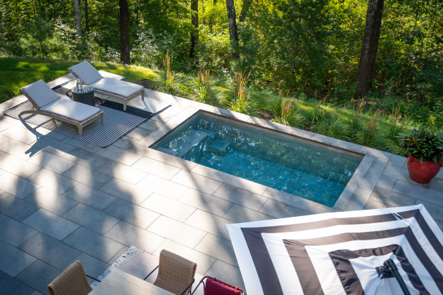 Stunning Riverside Soake Pool - Modern - Pool - Boston - by Soake Pools ...