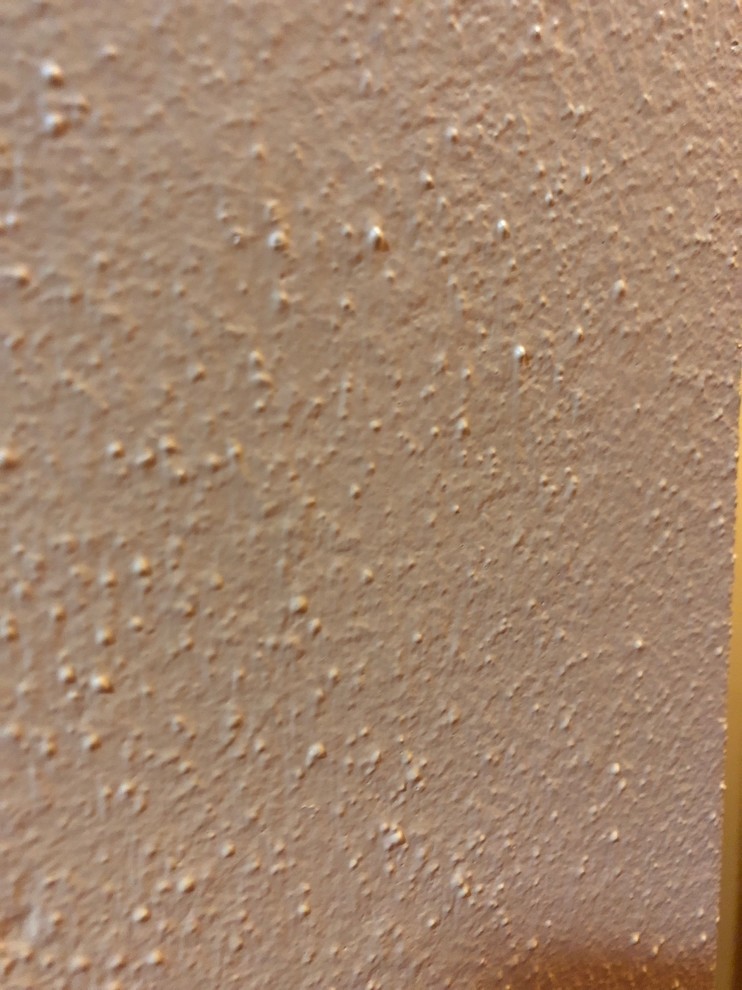 Anyone ever use Sheetrock Texture 1 sand finish texture paint?