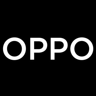 OPPO HOME DESIGN - Project Photos & Reviews - Chicago, IL US | Houzz