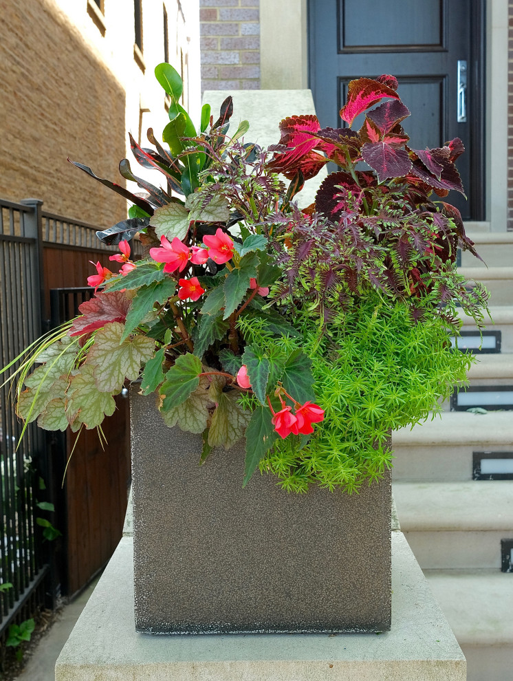 Summer Containers - Chicago - by KMS Gardens and Design | Houzz