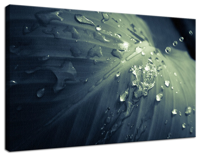 Rain Dropping on Canna Leaf Botanical Canvas Wall Art Print ...