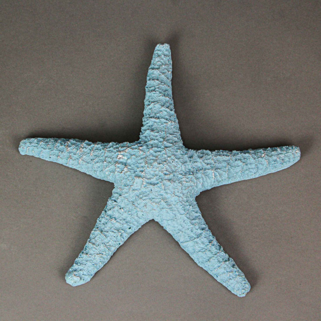 Set of 3 Resin Starfish Wall Hanging Sculptures Coastal Home Decor ...